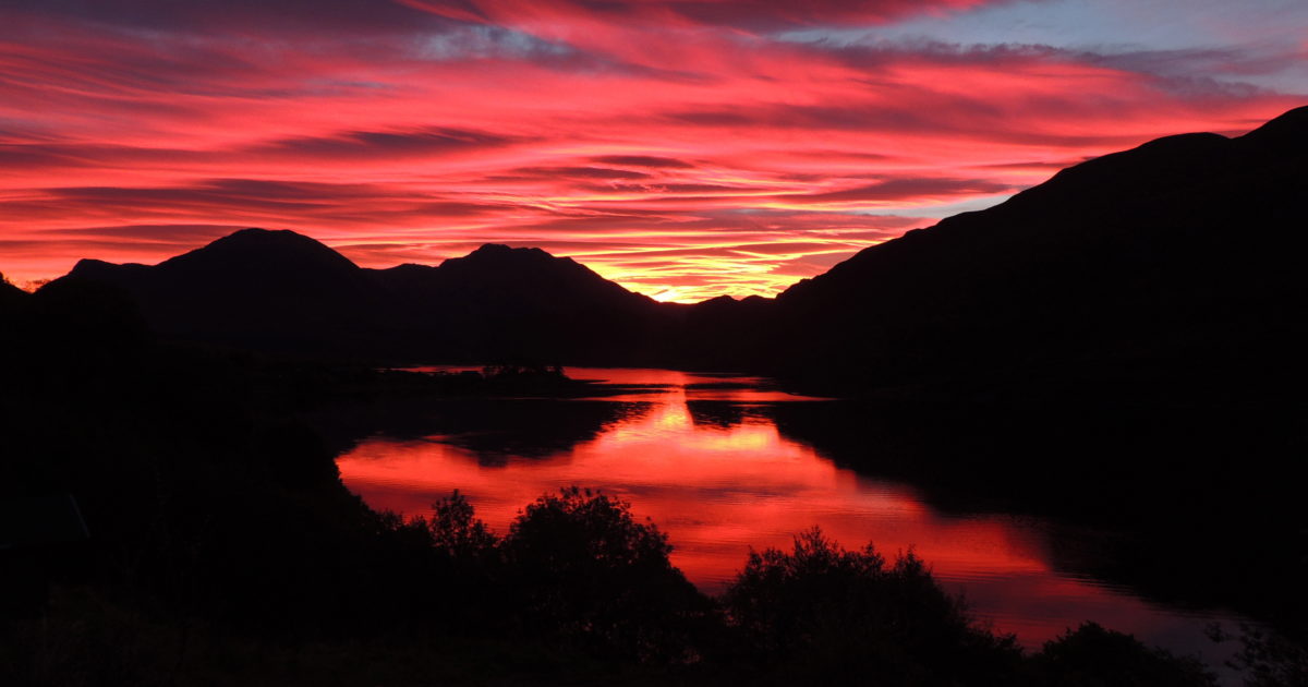 The Early Bird Gets the Worm | Highland Hiddle